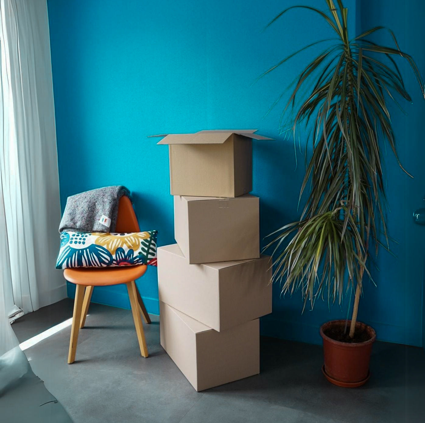 Pack cartons – 123jemballe